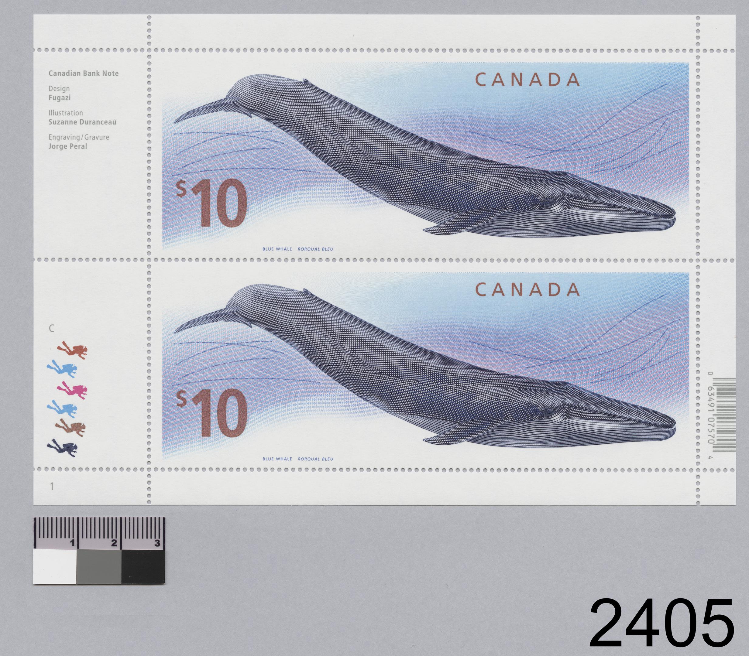 Whale Stamp