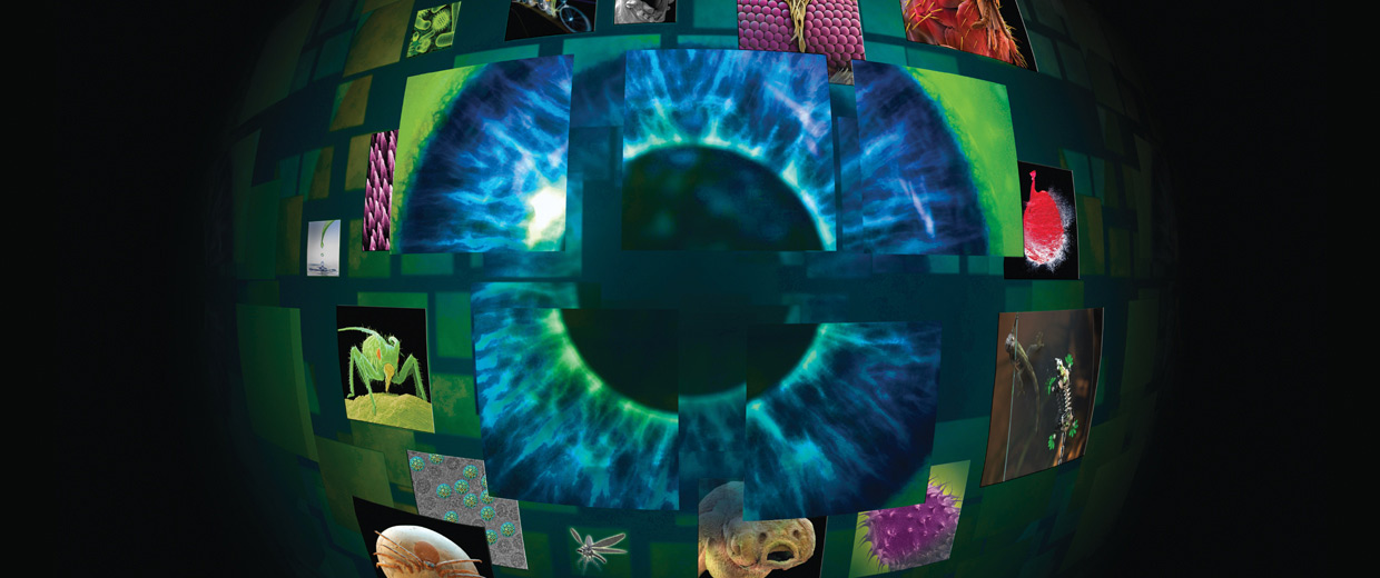 Mysteries of the Unseen World 3D | Canadian Museum of History