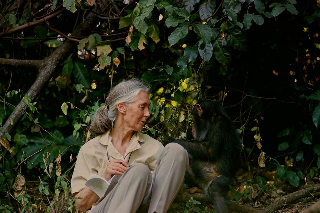 Jane Goodall, Reasons for Hope | Canadian Museum of History