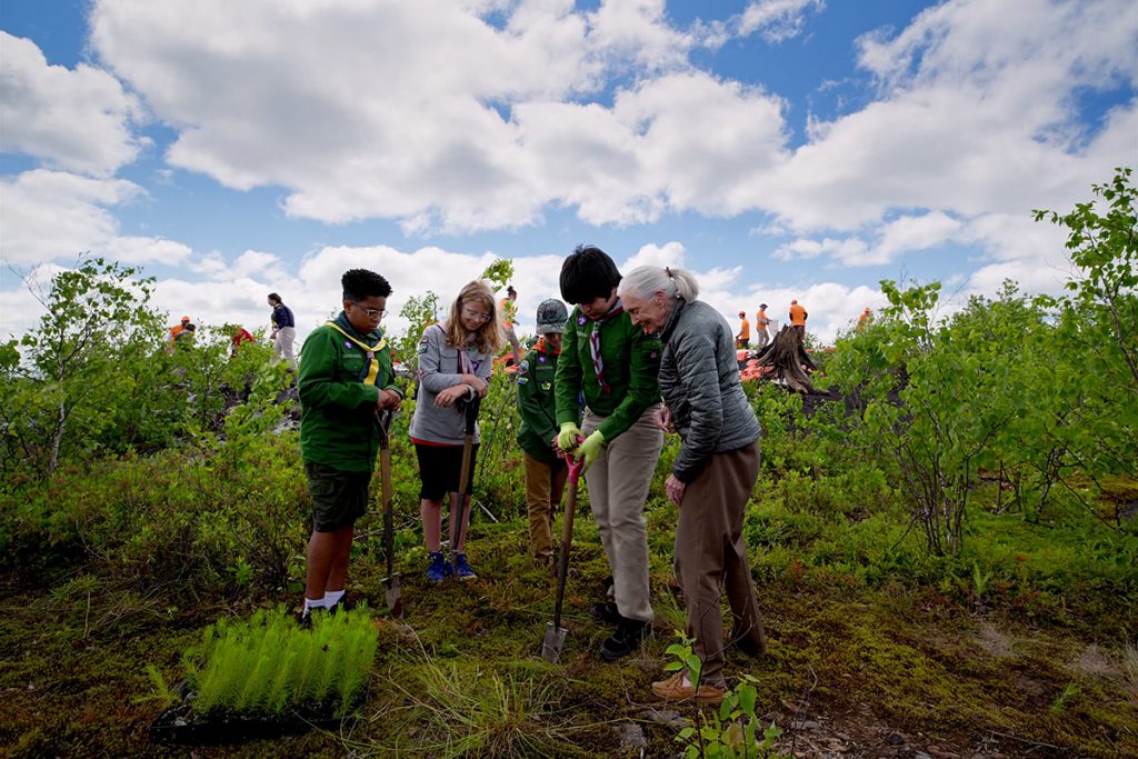 Jane Goodall, Reasons for Hope | Canadian Museum of History
