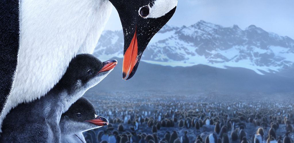 CINÉ+, Documentary Films | Canadian Museum of History