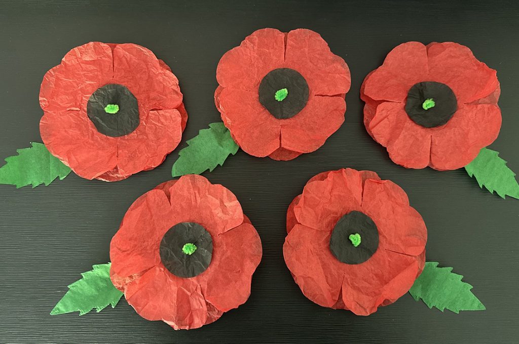 Poppies of Remembrance | Canadian Museum of History